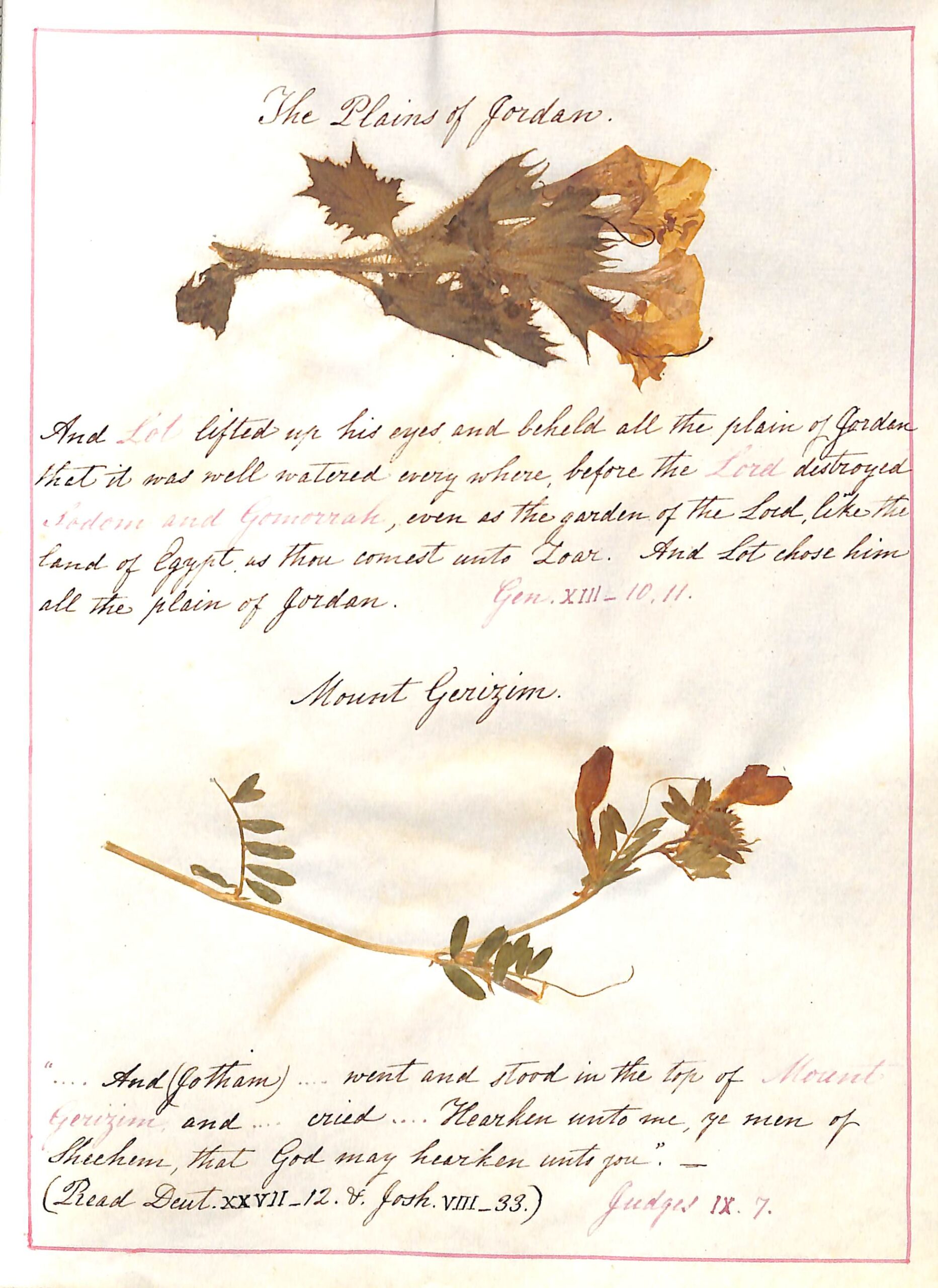 Virtual Belle Grove - Virtual Belle Grove